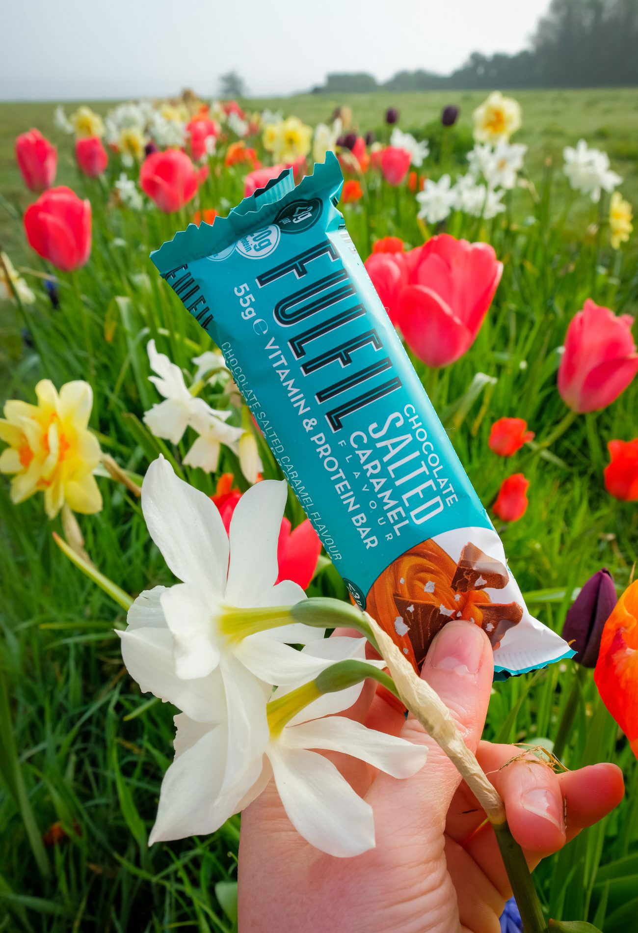 Fulfil - Richmond Marketing